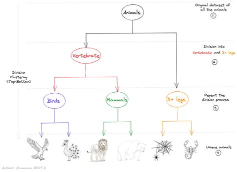 How To Implement Hierarchical Clustering For Direct Marketing Campaigns With Python Code