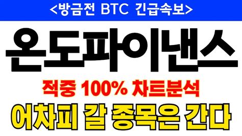 온도파이낸스 코인전망 🔥어차피 갈 종목은 간다🔥 온도파이낸스 온도파이낸스호재 온도파이낸스목표가 온도파이낸스코인 Youtube