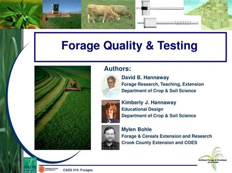 PPT Forage Quality Testing PowerPoint Presentation Free Download ID 3112821