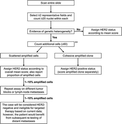 Consensus Algorithm For Human Epidermal Growth Factor Receptor 2 Her2 Download Scientific