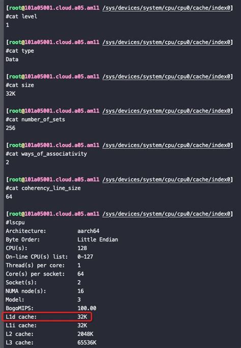 CPU 性能和Cache Line plantegg