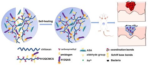 Self Healing Hydrogels Fabricated By Introducing Antibacterial Long Chain Alkyl Quaternary