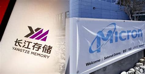 再出手！长江存储起诉美光侵犯其11项专利 芯片 美国 产品