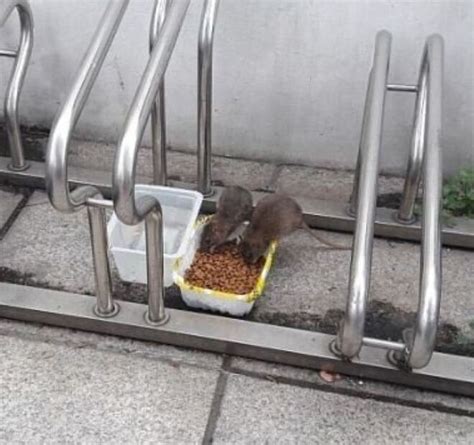 자전거 타고다니는 사람들은 자유게시판 헬븐넷