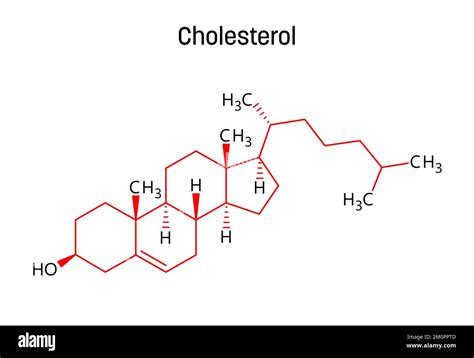 Cholesterol Molecular Structure Cholesterol Is A Lipid And Essential Structural Component Of