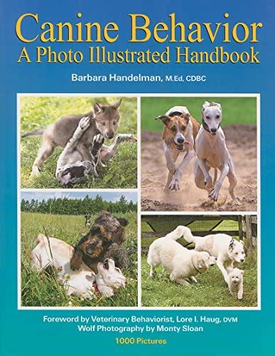 Dog Behavior Post-Neutering: Timeline and Changes