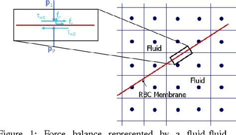 figure 1 from a sharp interface fluid structure interaction algorithm