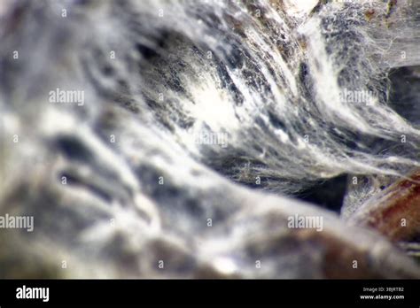 Algae Polluted Water Film Of Algae On Surface Of The Water Preventing The Formation Of Oxygen