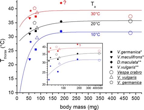 Value With “” Is Estimated By Extrapolation Insert Logarithmic Download Scientific Diagram