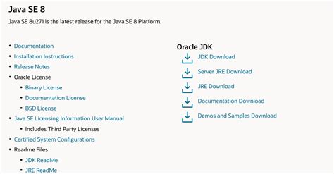 Mac配置java开发环境 Ruoyu