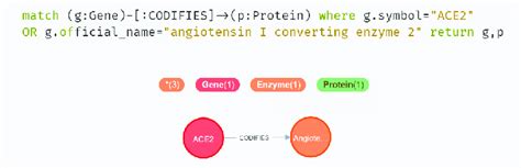 Cypher Query And Results For The Ace2 Gene And The Codified Protein In Download Scientific