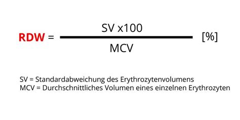 Rdw Wert Evb Welche Bedeutung Hat Der Blutwert