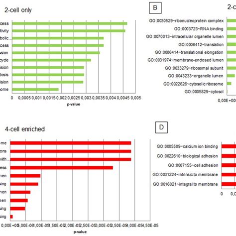Top 10 Significantly Enriched Go Terms Graphs Showing The Top Ten