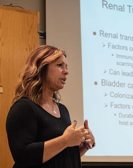 Uis Unveils Innovative 2024 Summer Courses University Of Illinois