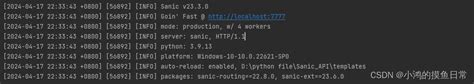 Sanic，一个快如闪电的异步 Python Web 框架主机测评