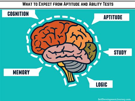 Aptitude Test Meaning