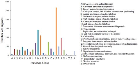 Histogram Presentation Of Clusters Of Orthologous Groups COG Download Scientific Diagram
