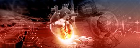 Pulsed Field Ablation Safe Effective For Atrial Fibrillation Duke Health Referring Physicians