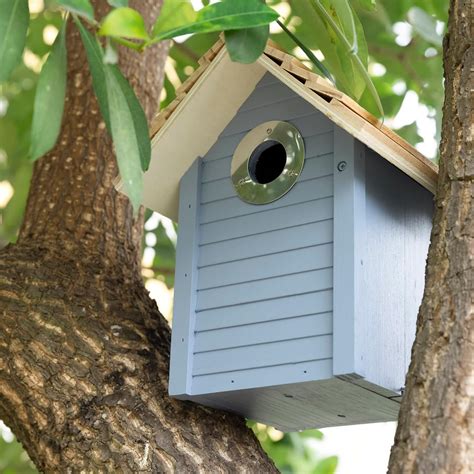 Sparrow Nesting Boxes Birdwatching Uk