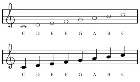 Euphonium Notes The Ultimate Guide Teds List