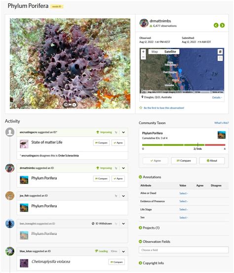 Some Odd ID Conflict Issues Bug Reports INaturalist Community Forum