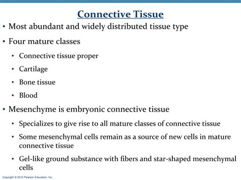PPT Connective Tissue PowerPoint Presentation Free Download ID 5481296
