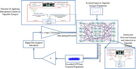 Plan Of The Closed Loop Interaction Between The Proposed Stimulating Download Scientific