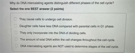Solved Why Do Dna Intercalating Agents Distinguish Different