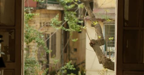 가구 거주 공간 건물 건축 경치 경치가 좋은 고요한 나무 녹지 도시 도시의 러스틱 매력적인 목재 가구