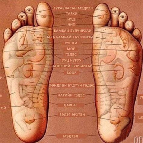 🔹Хөлийн ул халуу оргих шалтгаанууд🔹 Хөлийн ул халуун оргих шинж нь