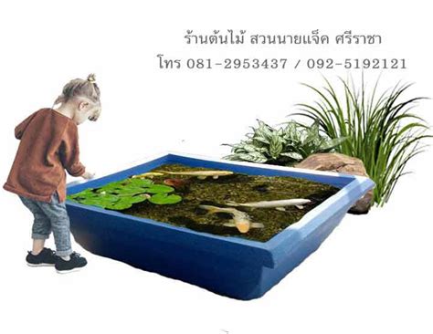 🔥🔥 หมดปัญหากับการขุดสร้างบ่อเลี้ยงปลา 🐟🐠สะดวกต่อการโยกย้าย ด้วยกระถางบัวไซส์ยักษ์ ️ผลิตด้วย