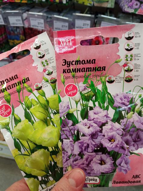 Интрига весны. Как вырастить эустому, нарушив всё, что только можно ...