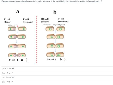 Solved Figure Compares Two Conjugation Events In Each Case