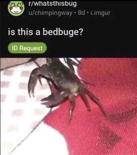 Why Are You On This Subreddit