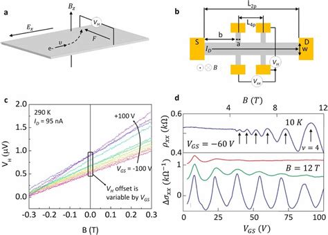 Hall Effect Measurements Of A Bridge Type Hall Bar Structure A Download Scientific Diagram