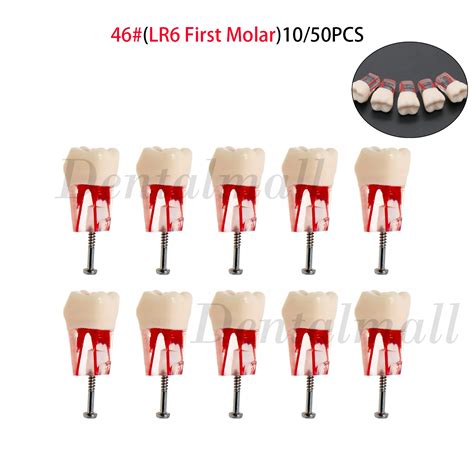 Sb39da6c4f176490aa8b8945788dca8f4t 