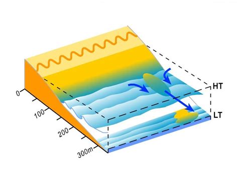 Reflective Low Tide Terrace Earth Sciences New Zealand Niwa