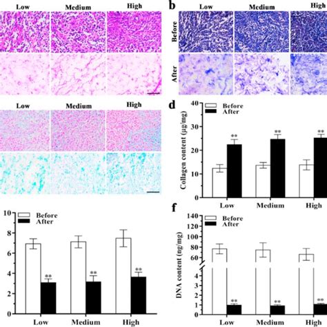 Characterization Of Ecm Before And After Decellularization A He Download Scientific Diagram