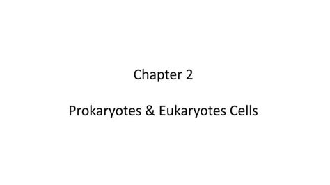 Prokaryotes And Eukaryotes Cells Chapter Pdf