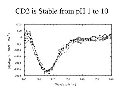 Ppt Structural Analysis Of Protein Structure Powerpoint Presentation Id 257396