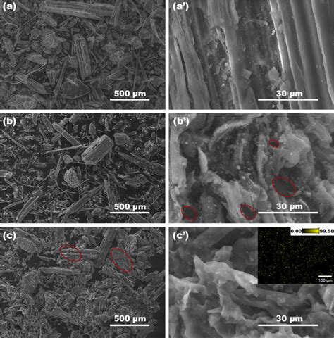 Scanning Electron Micrographs And Eds Mapping Of Raw Material A A′ Download Scientific