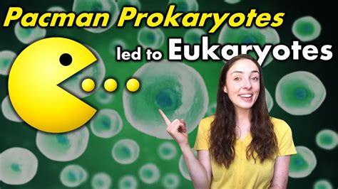 First Eukaryotes Timeline