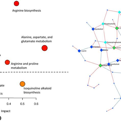 A Analysis Of Altered Metabolic Pathways Based On Distinguishing
