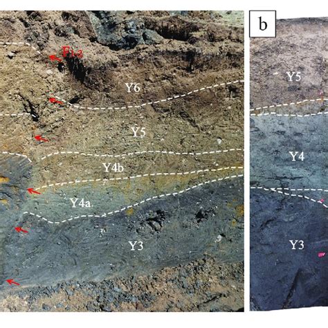 Grayscale Map Modified From 90 M Resolution Srtm4 Data Showing The Download Scientific