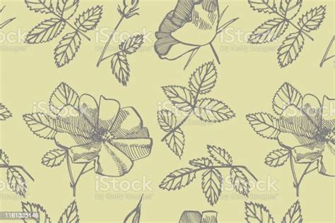 야생 장미 꽃 그리기 및 스케치 일러스트 레이션 직물 직물 포장지 카드 초대장 벽지 웹 디자인장식 꽃 세트 낭만적 인 배경에 카드 템플릿 손으로 쓴 추상 텍스트입니다 0명에