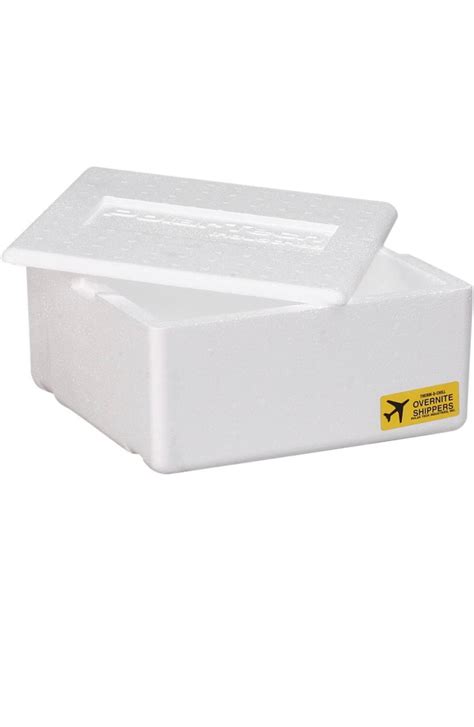 Dry Ice With Styrofoam Or Cooler Etsy