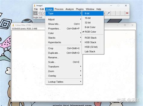 如何使用 Imagej 软件分析组织切片免疫组化面积？ 知乎