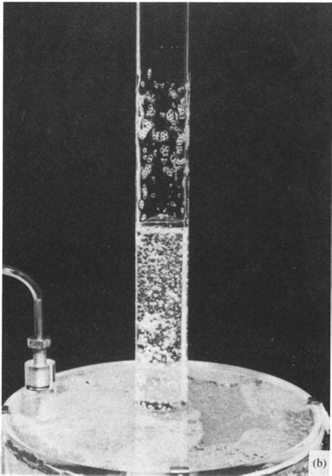 Experiments Showing Kinematic Waves Propagating Along The Vertical Film