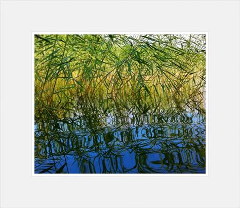 biology blockchains and quantum physics canadian association for the