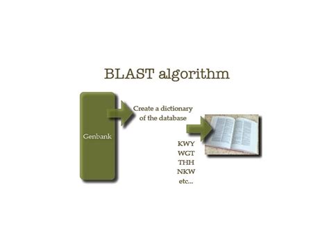 Construction Of Substitution Matrices Blosum Blocks Substitution Matrix